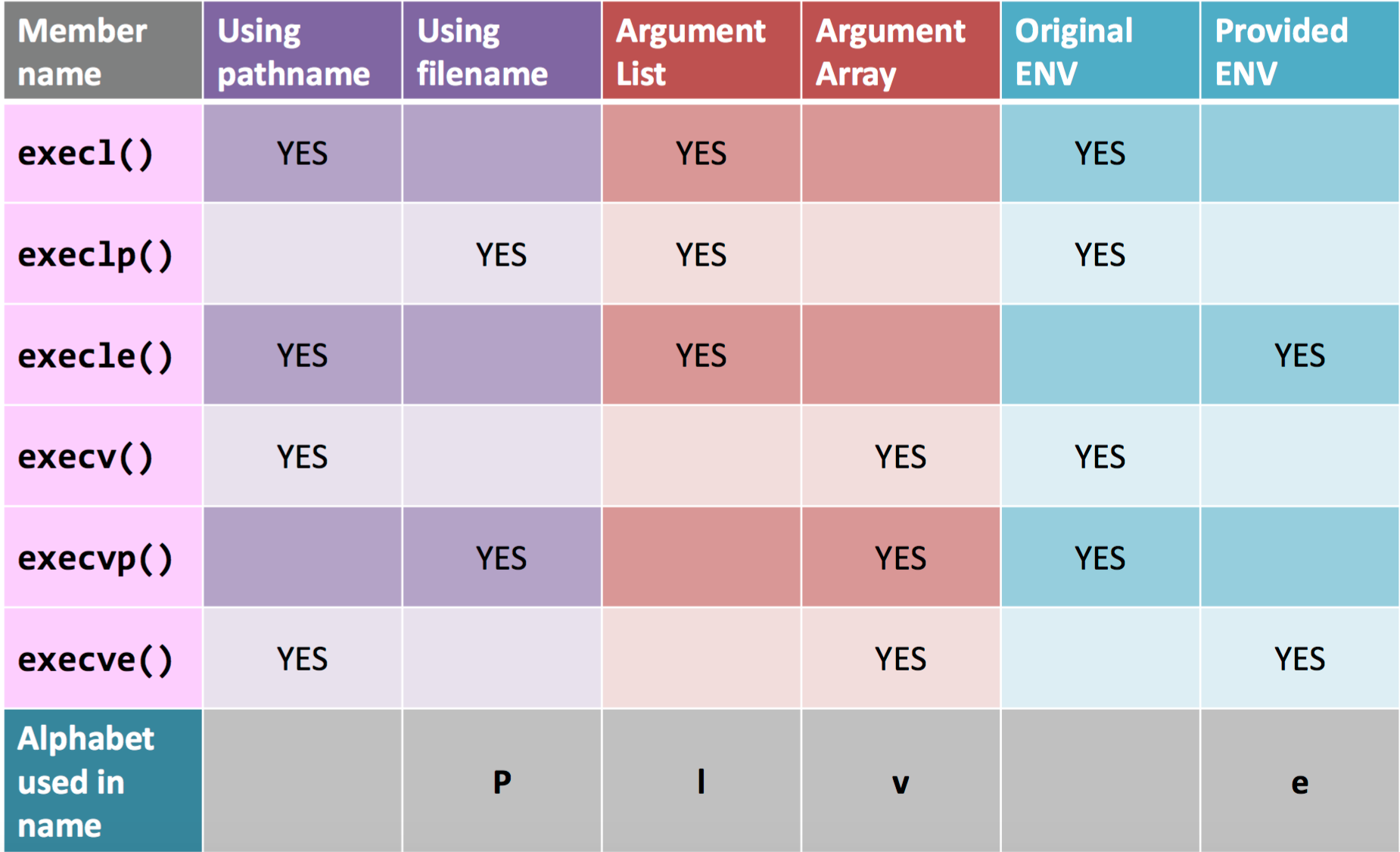 exec Family | CSCI3150 - Process