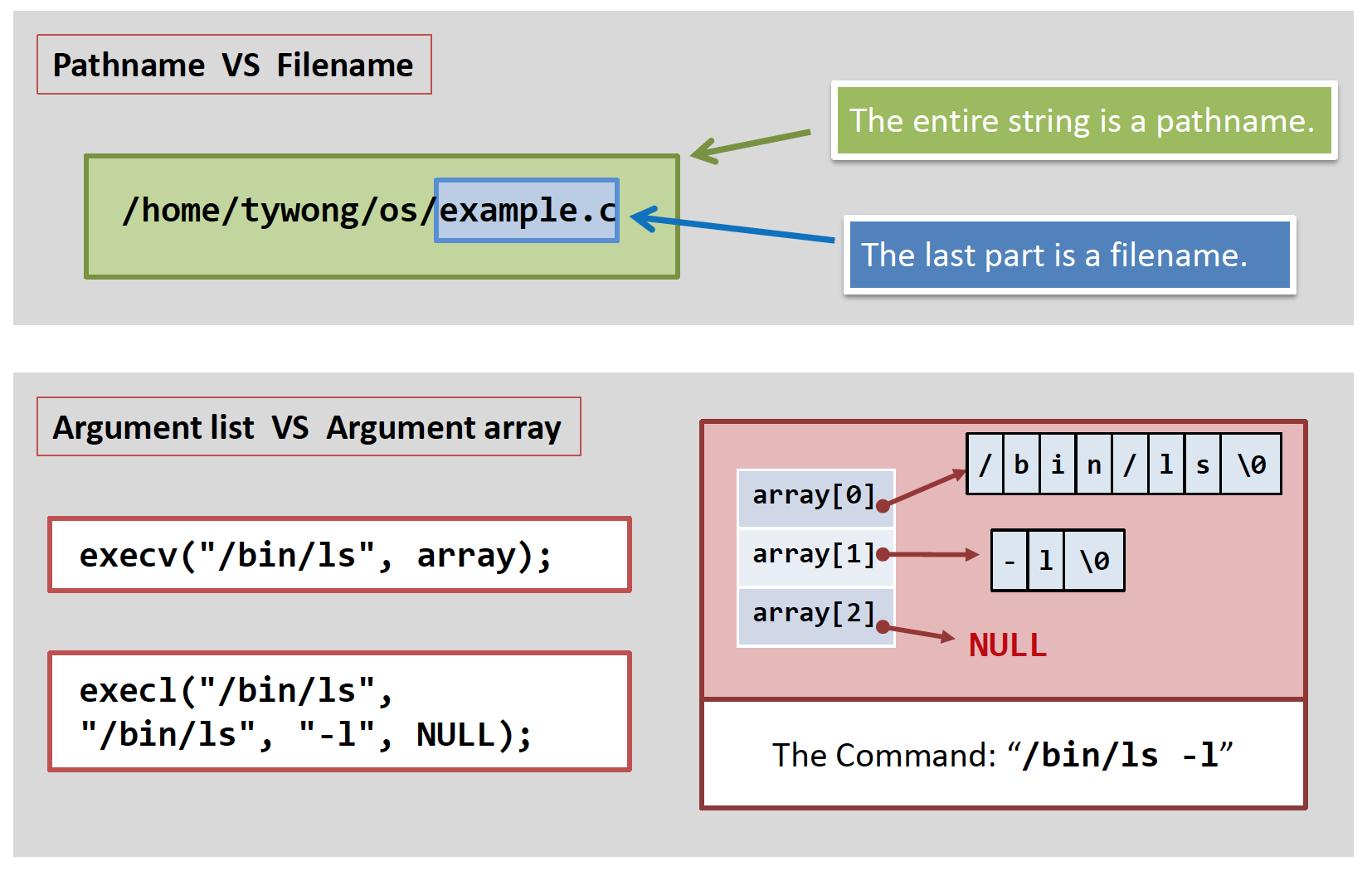 exec Family | CSCI3150 - Process